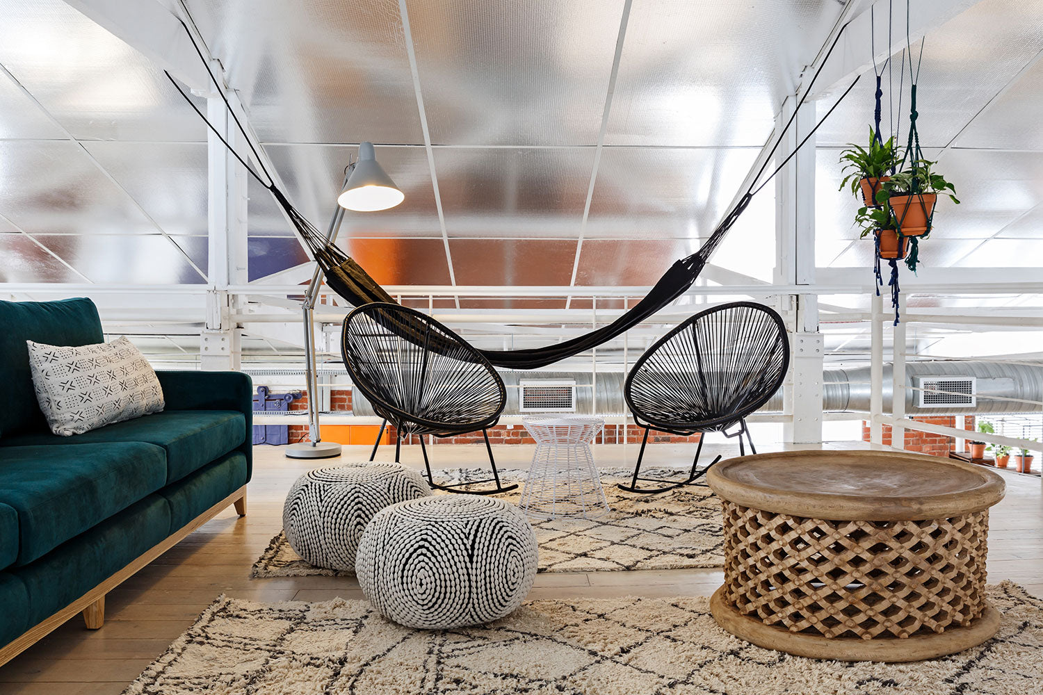 Zoona – Bone Studio